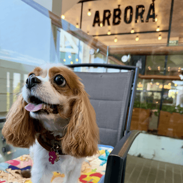 Hilltop Garden Restaurant - Arbora @ Mount Faber Peak – Mount Faber ...